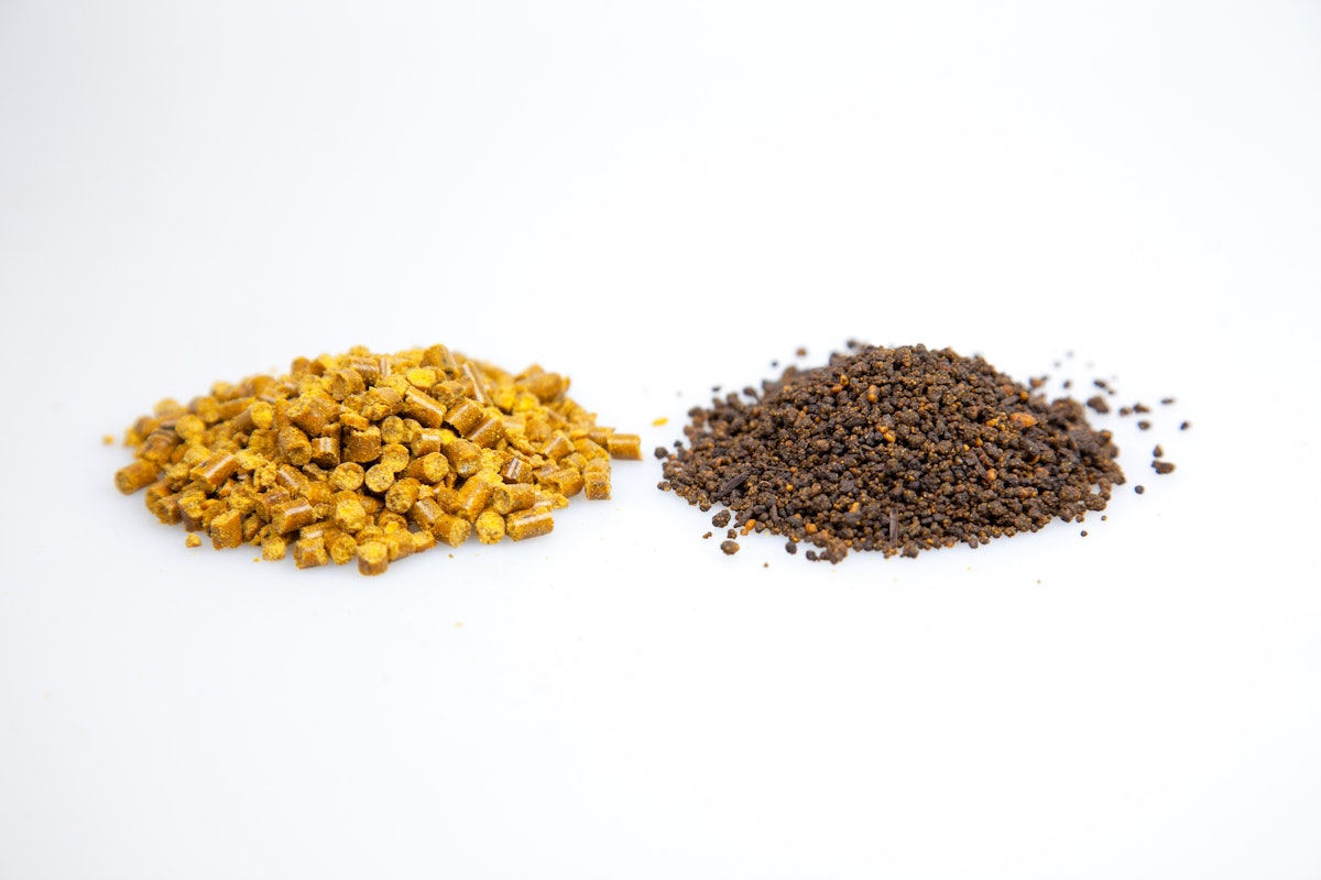 corn gluten feed analysis